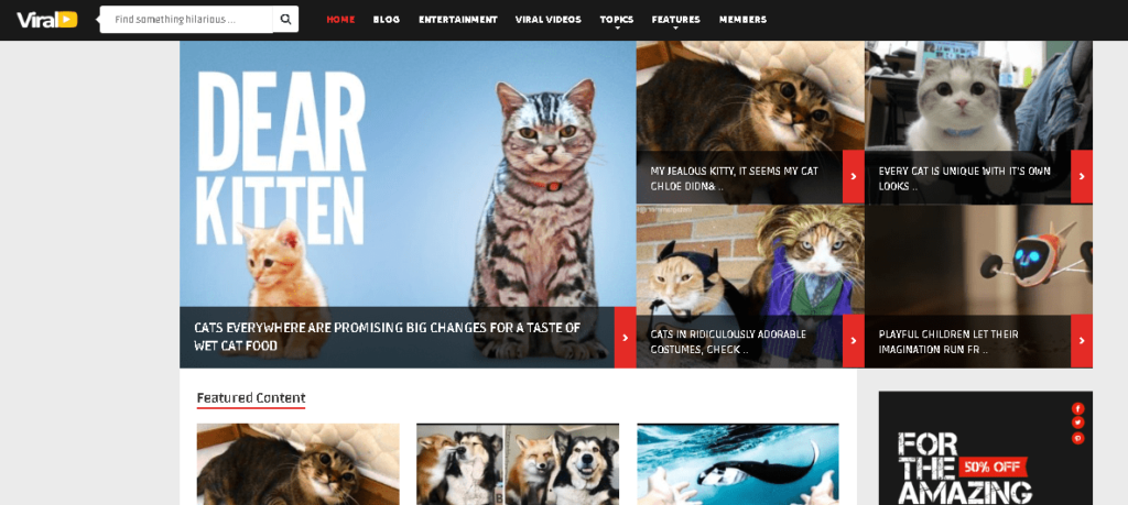 Best Viral Content WordPress Themes 2020 - Wbcom Designs